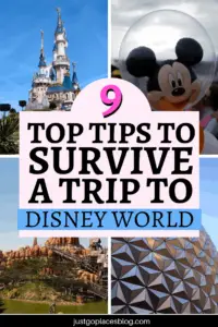 Top Tips To Survive a Trip to Disney World