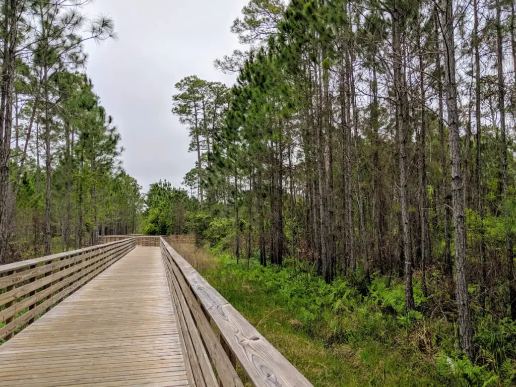 15 Amazing Stops To Make For An Awesome Alabama Road Trip