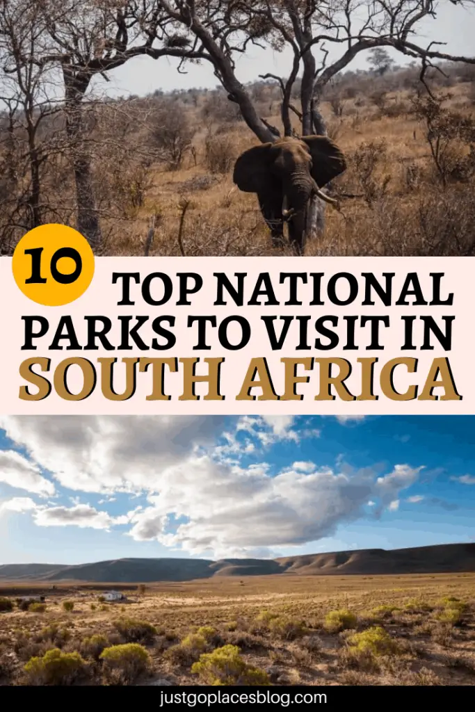 The 10 Best South African National Parks (+ What To Do In South Africa ...