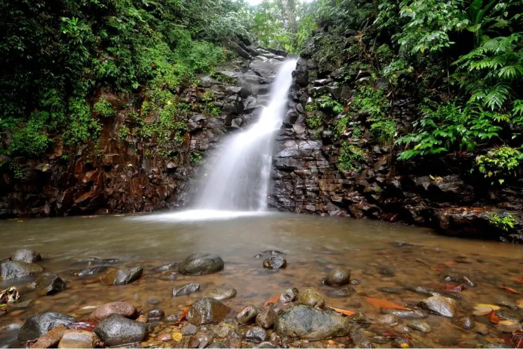 5 Must-See Waterfalls in St Lucia (+ 3 More Hidden Gem Waterfalls!)